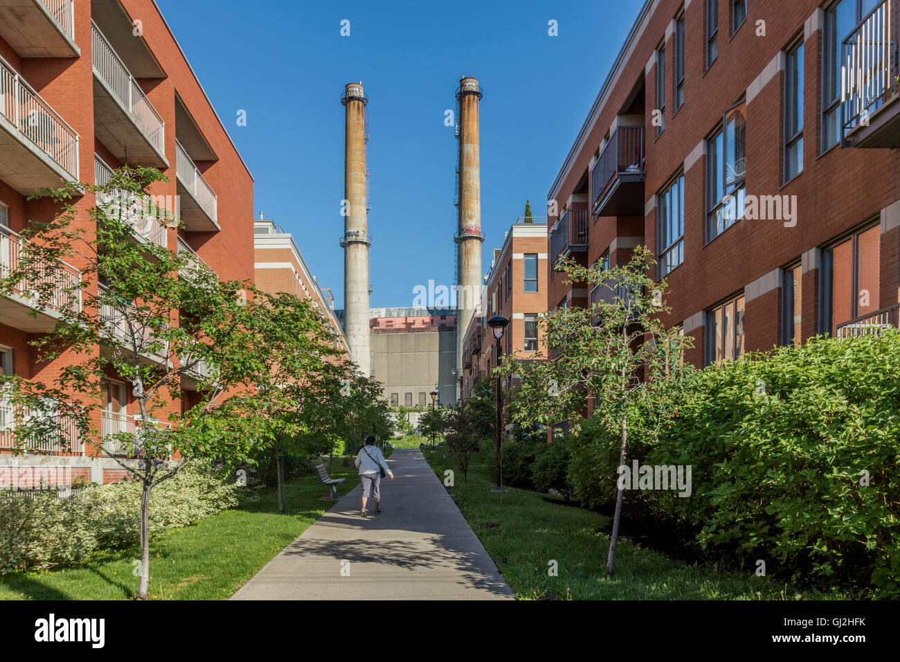 Residential buildings, Montreal Stock Photo - Alamy