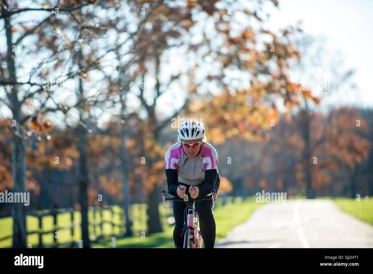Cyclists cycling on tree lined road Stock Photo - Alamy