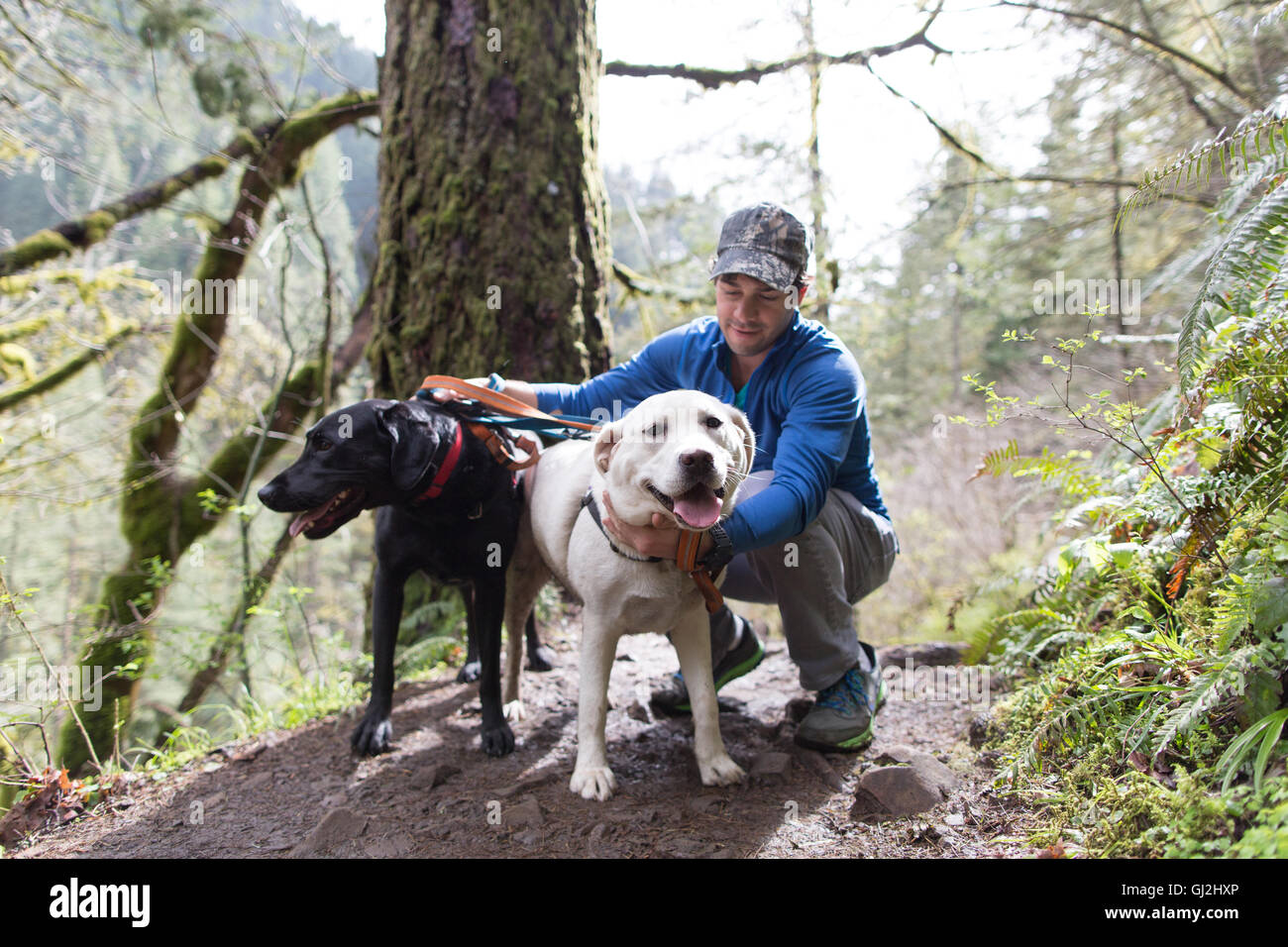 Man in forest hi-res stock photography and images - Alamy