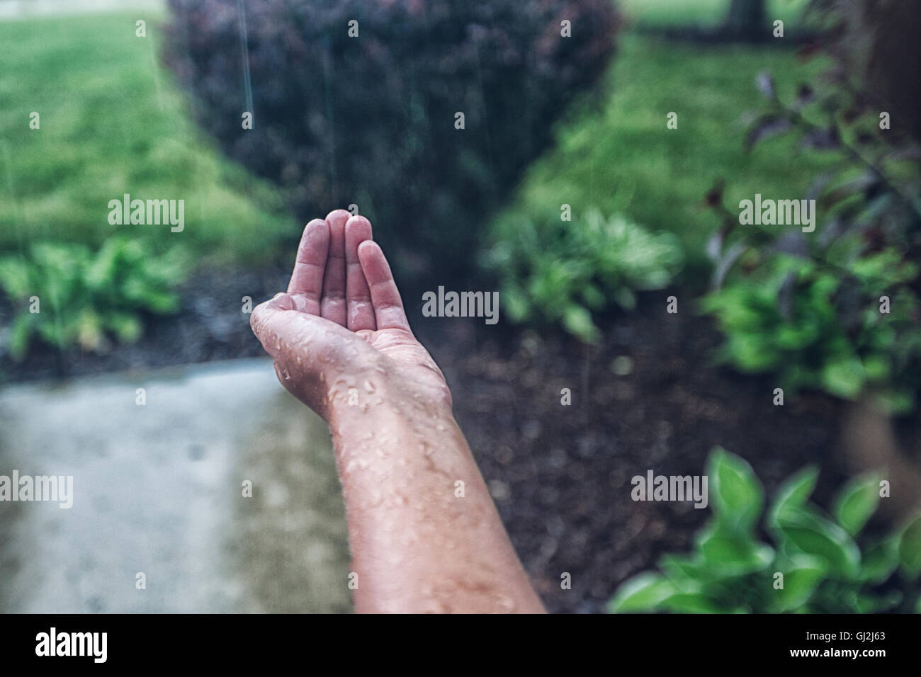 Girls cupped hand catching rain Stock Photo - Alamy