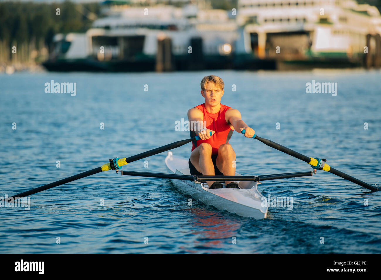 Young man rowing single scull on Puget Sound, Winslow, Bainbridge ...