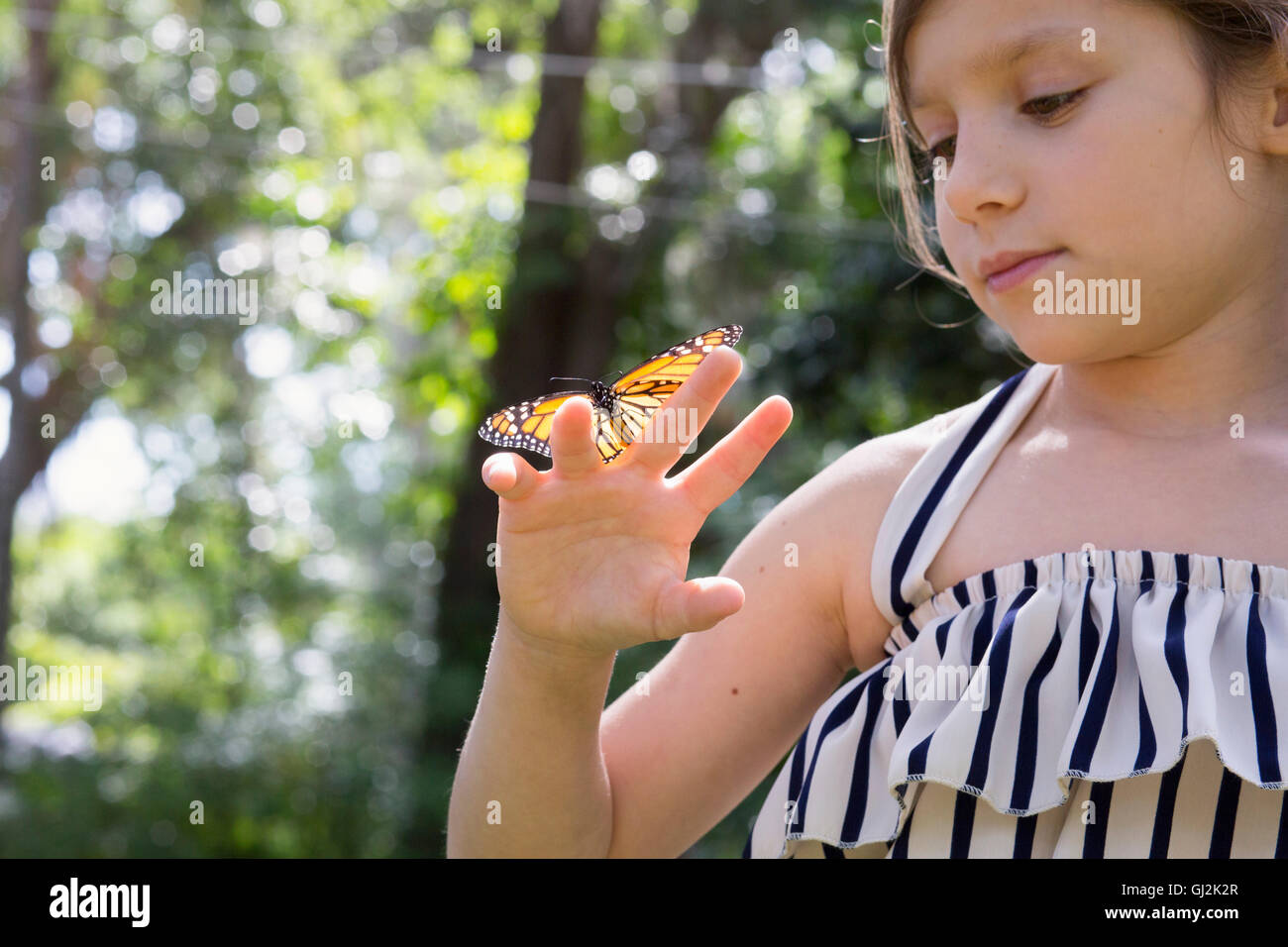 Girl holding monarch butterfly on finger Stock Photo - Alamy