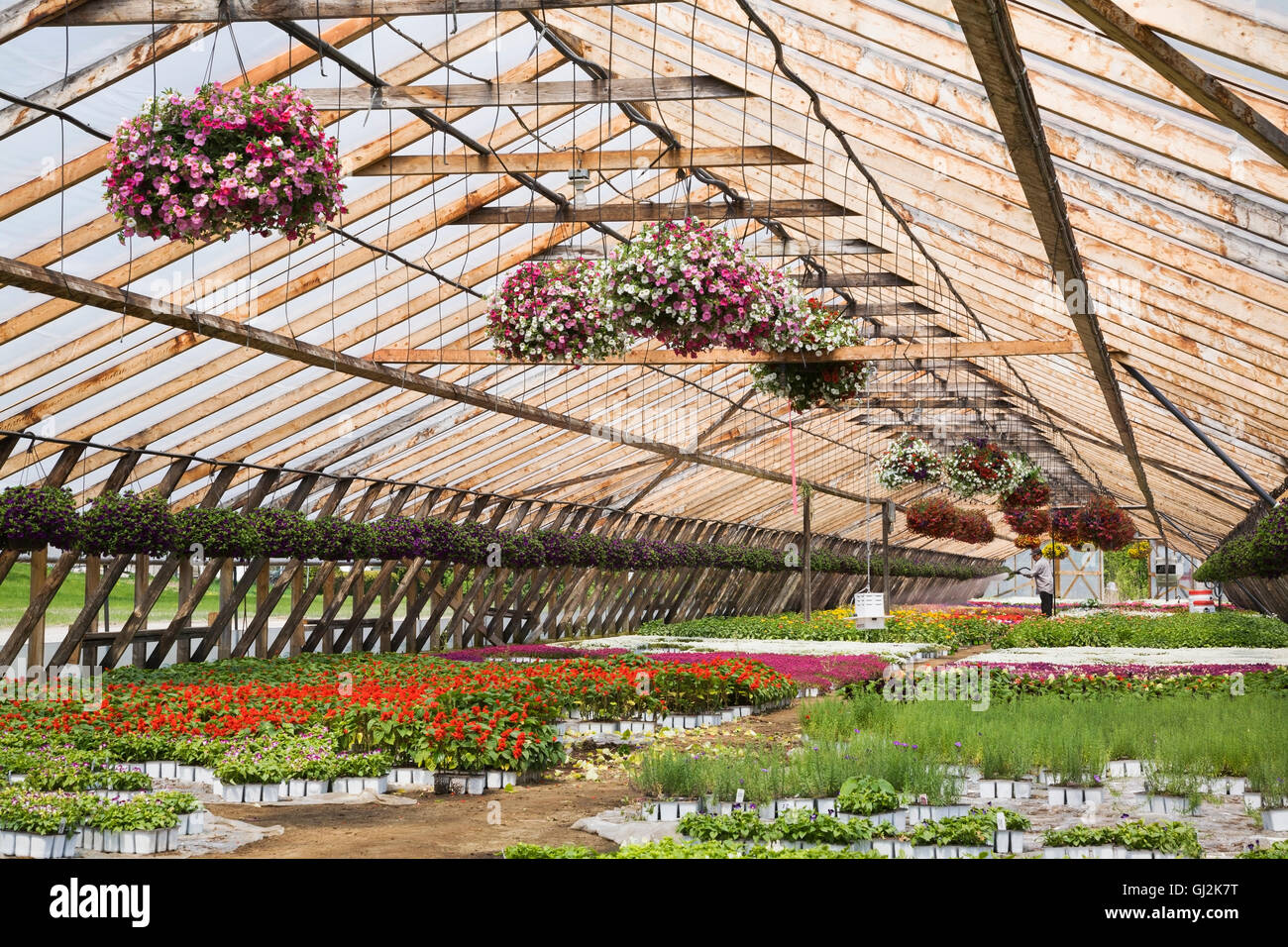 Horticultural greenhouse hi-res stock photography and images - Alamy