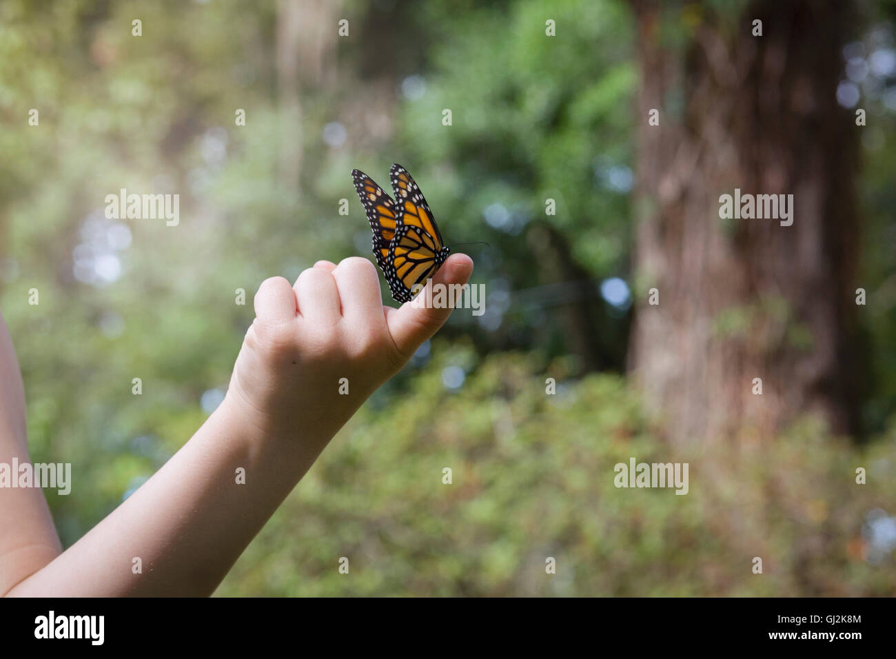 Girls holding monarch butterfly on finger Stock Photo - Alamy
