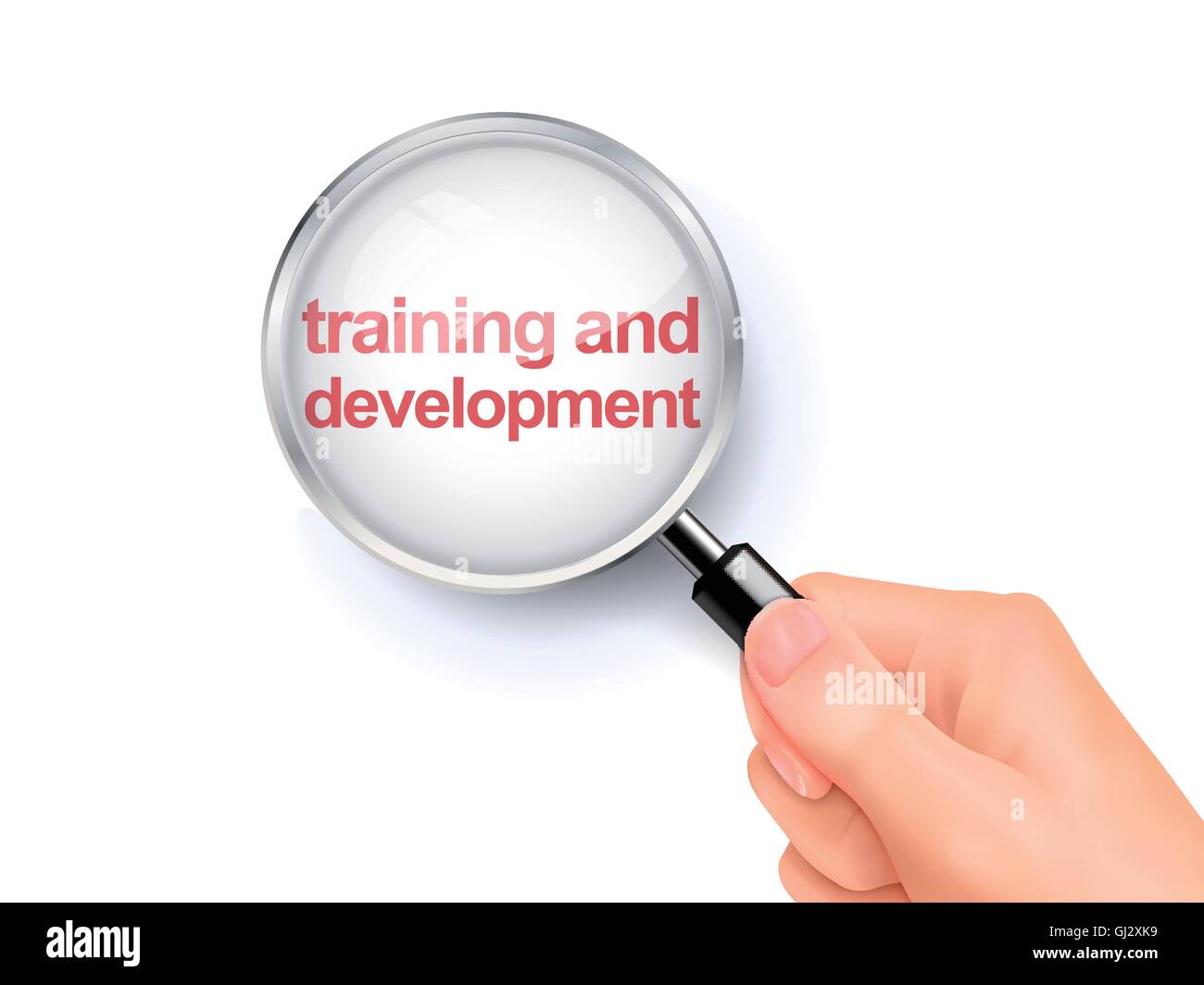 3D illustration of magnifying glass over the words of training and ...