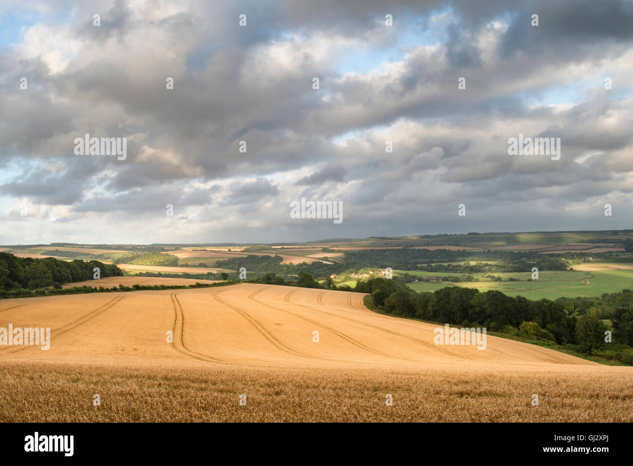 Summer farming landscape hi-res stock photography and images - Alamy