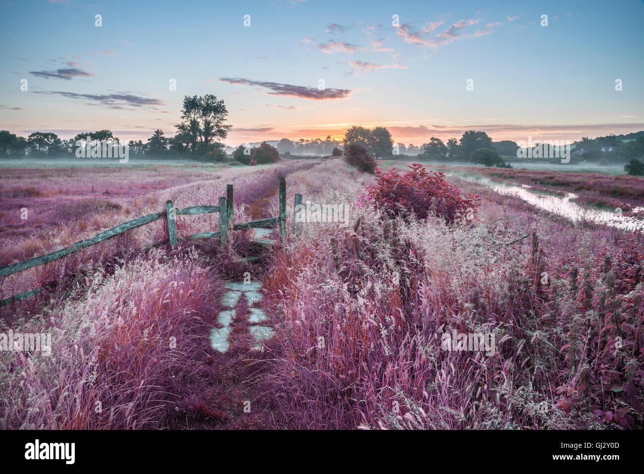 Stunning vibrant Summer sunrise over English countryside landscape ...