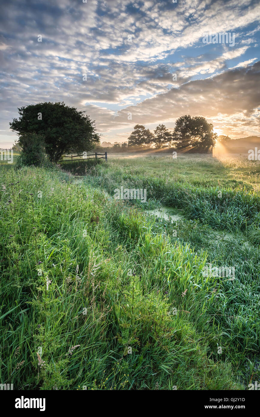 Stunning vibrant Summer sunrise over English countryside landscape ...