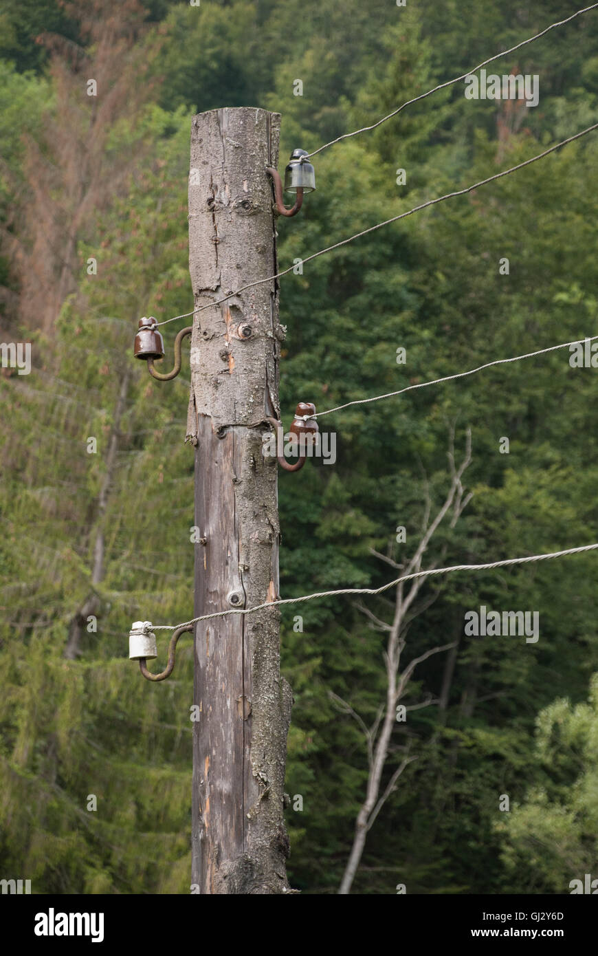 Old wooden electric pole with wires and insulators on the background of ...