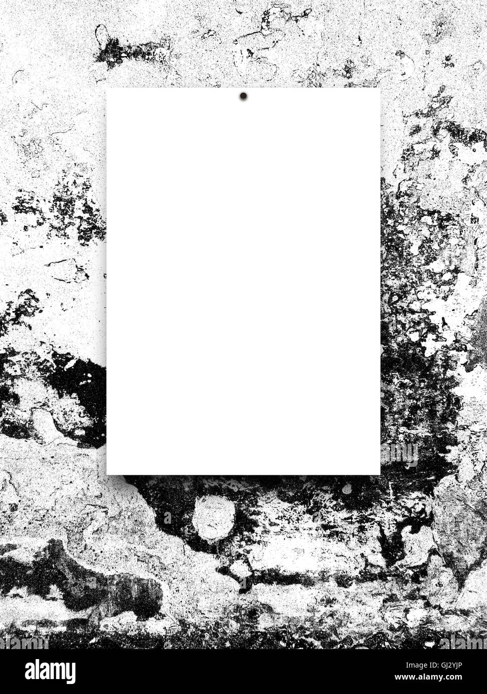 Close-up of one nailed blank frame on black and white scratched wall ...