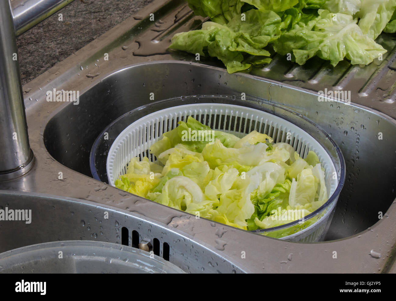 washing the salad in the kitchen Stock Photo - Alamy
