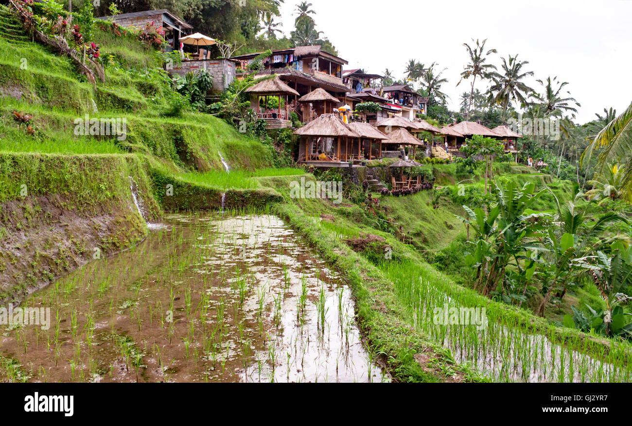 Indonesian rural village Stock Photo - Alamy