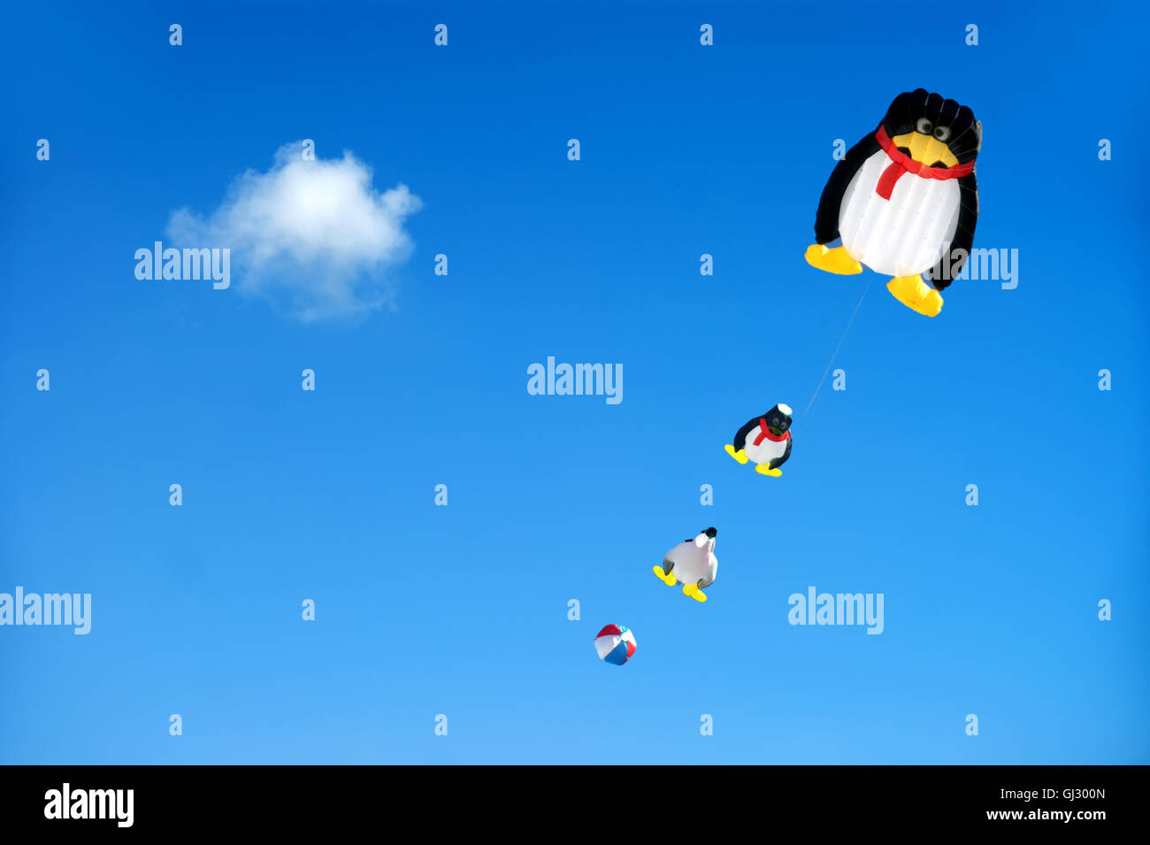 Kite - Penguin Stock Photo - Alamy