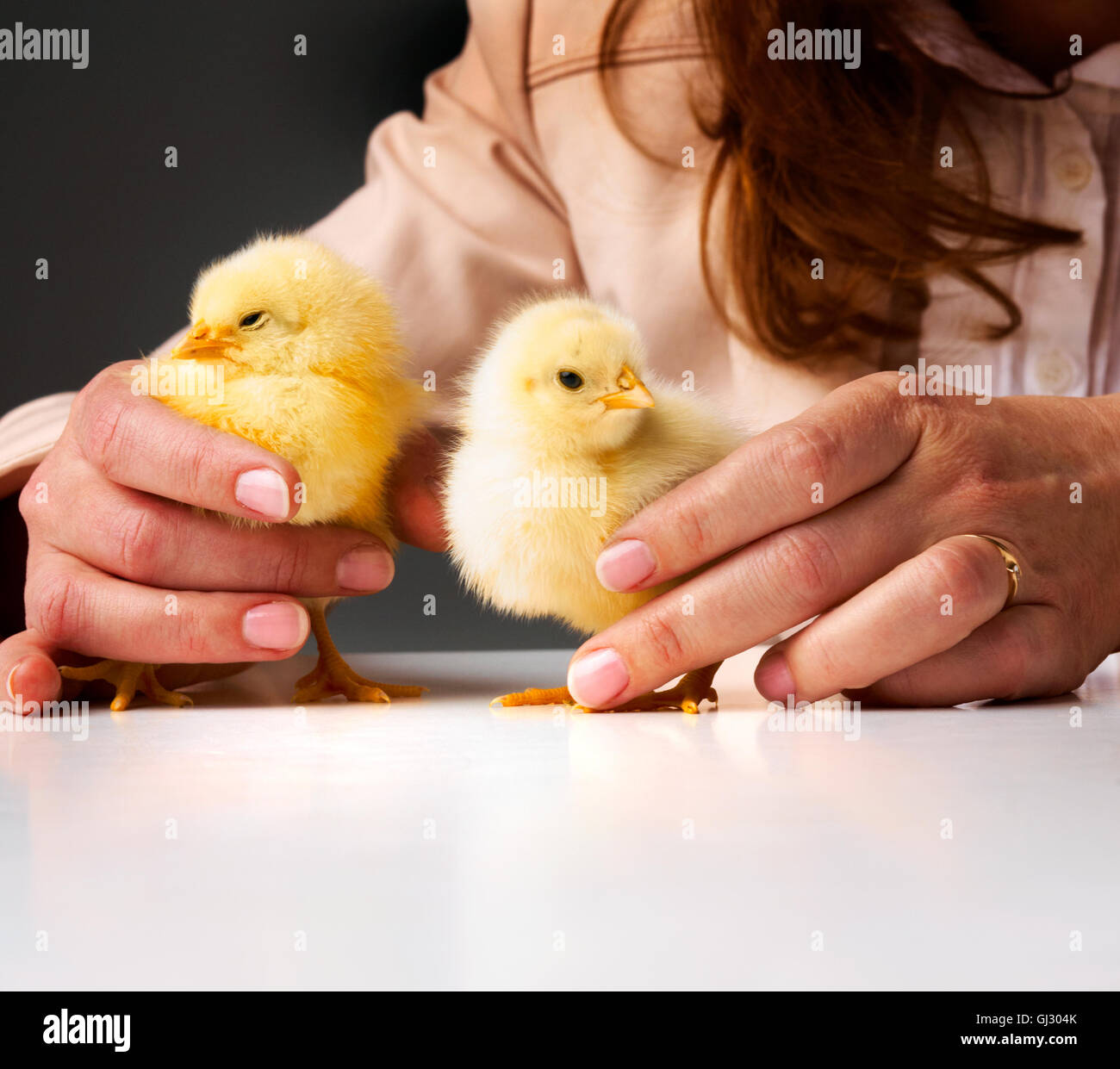 Hand animal hi-res stock photography and images - Alamy