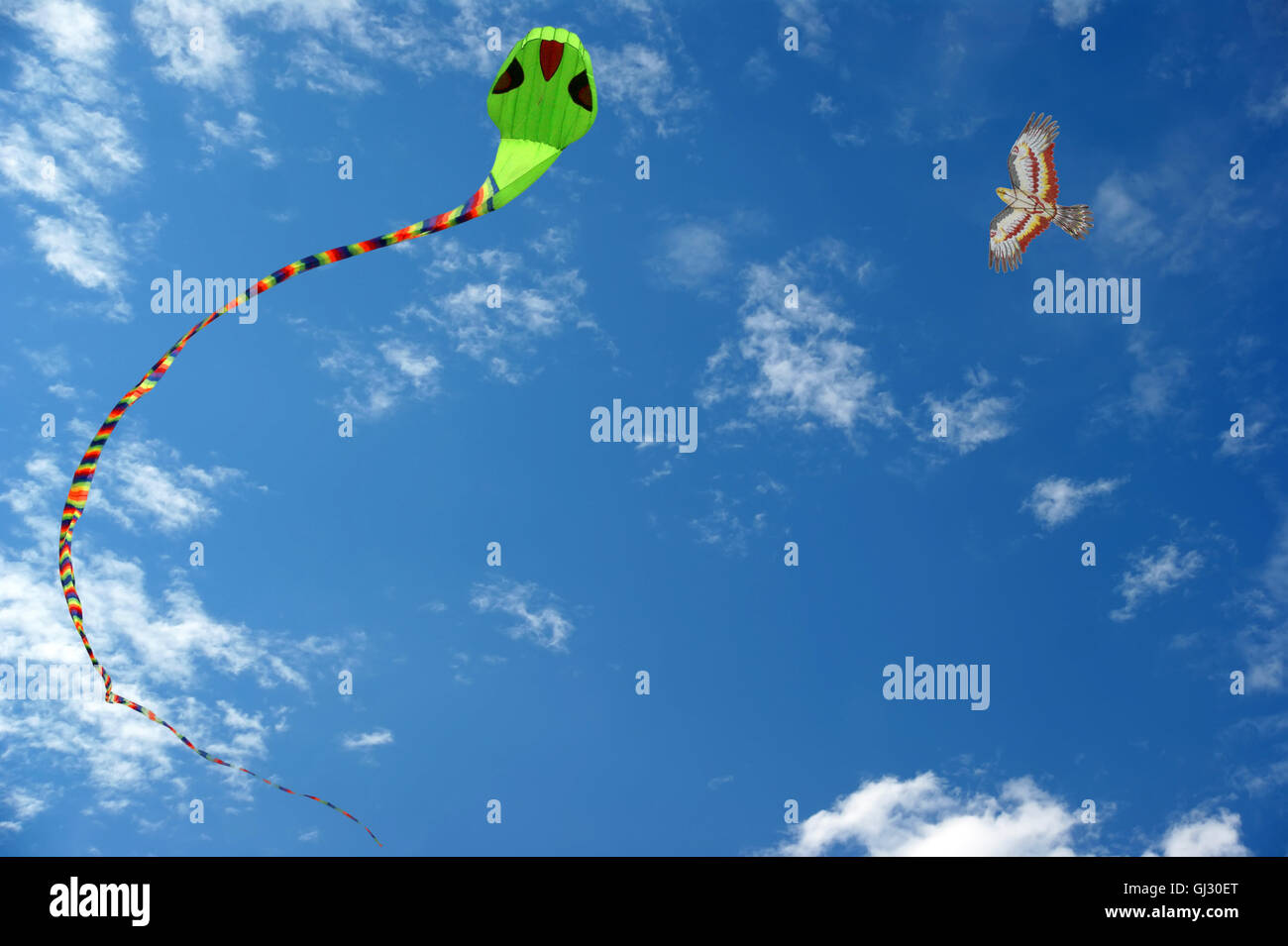 Kite - Snake and Eagle Stock Photo - Alamy