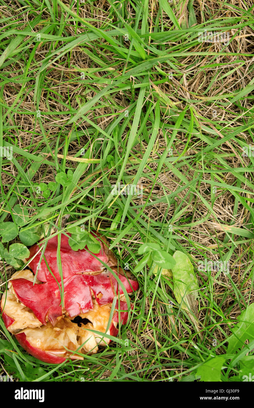 Crushed red apple in green grass Stock Photo - Alamy