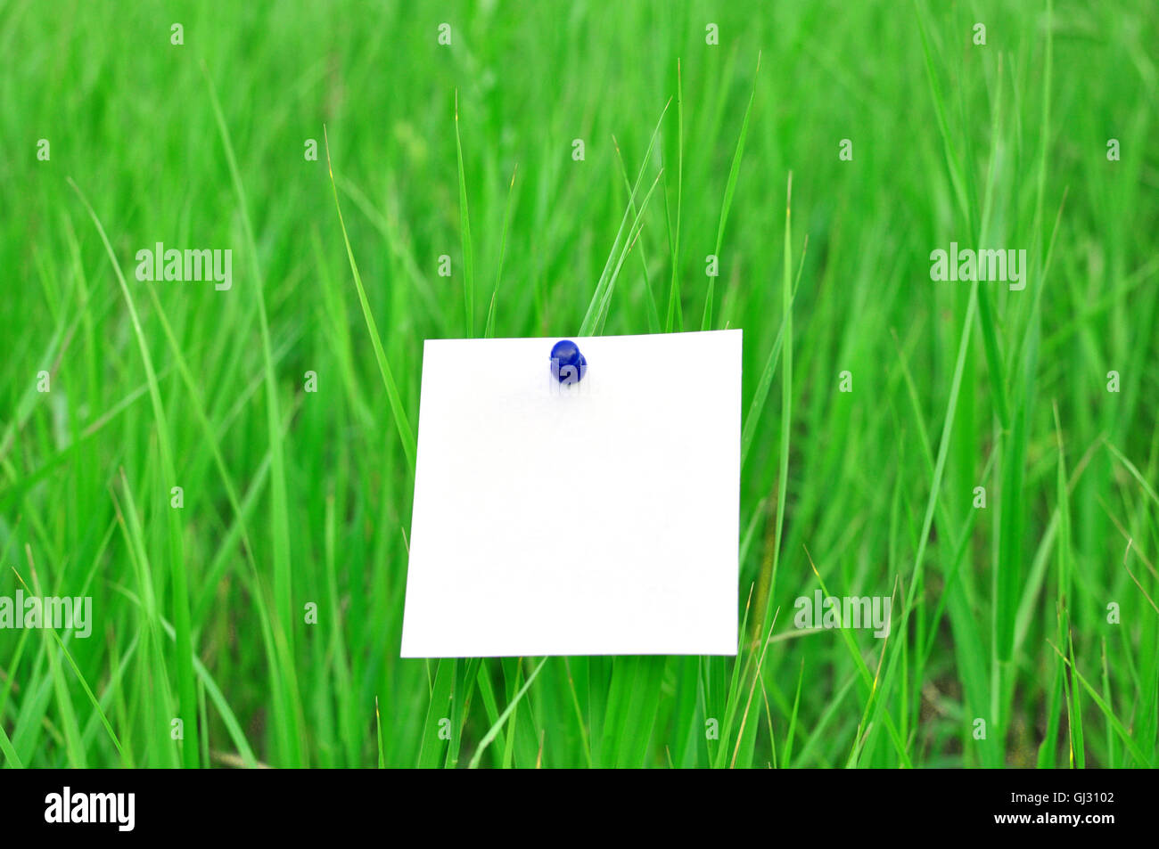 Document attached hi-res stock photography and images - Alamy