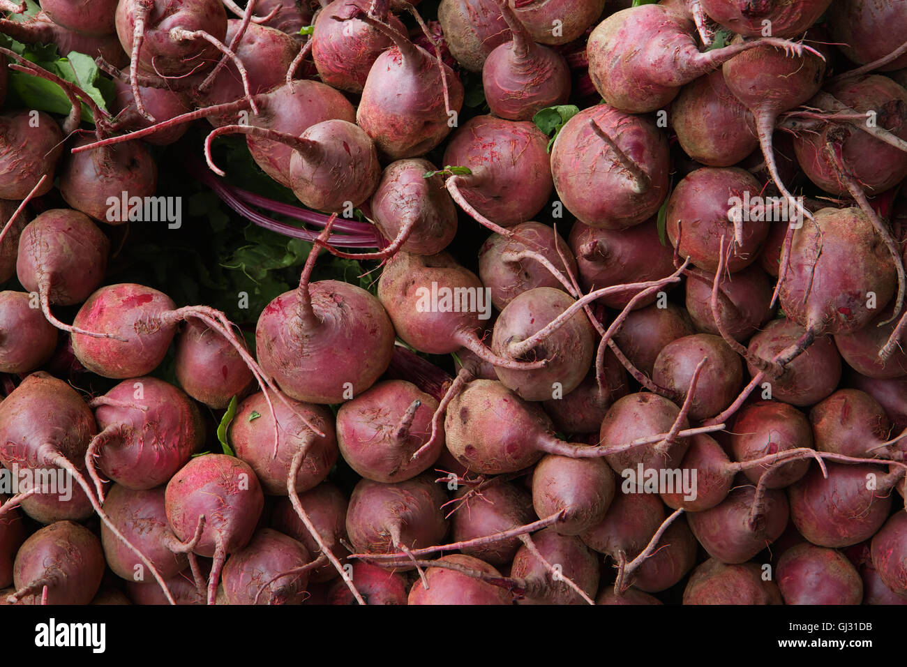 Pile of red beets Stock Photo - Alamy