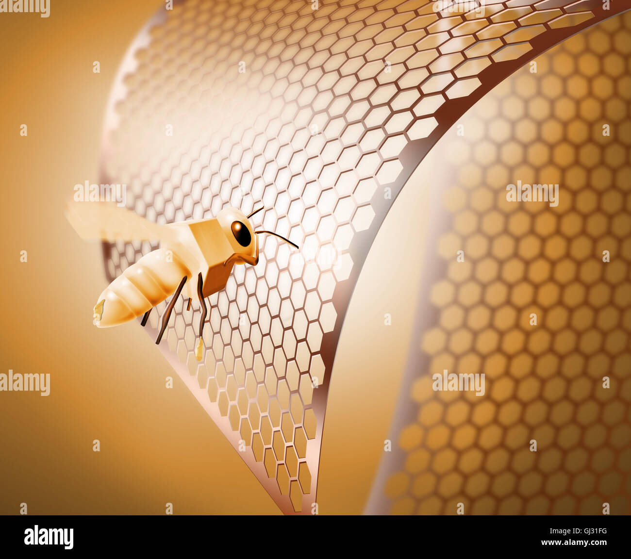 Golden bee hi-res stock photography and images - Alamy