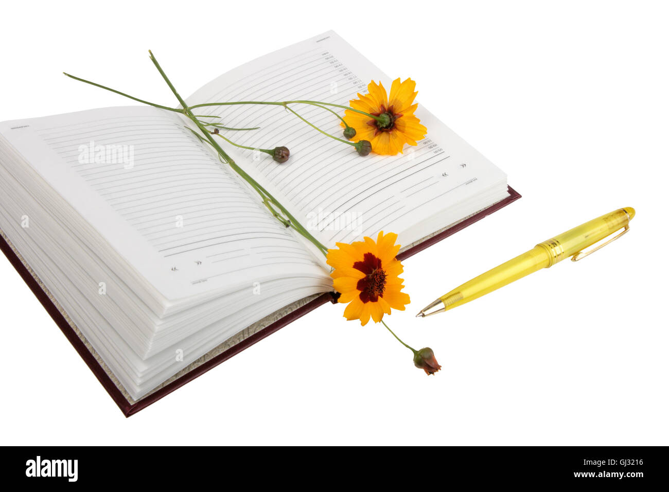 Empty open diary, yellow flowers and yellow ball point pen Stock Photo ...