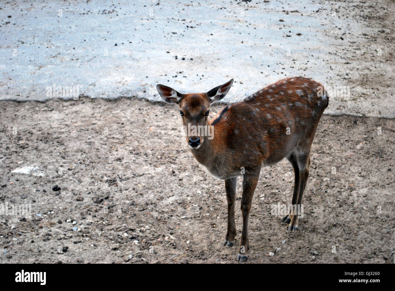 Curb mining hi-res stock photography and images - Alamy