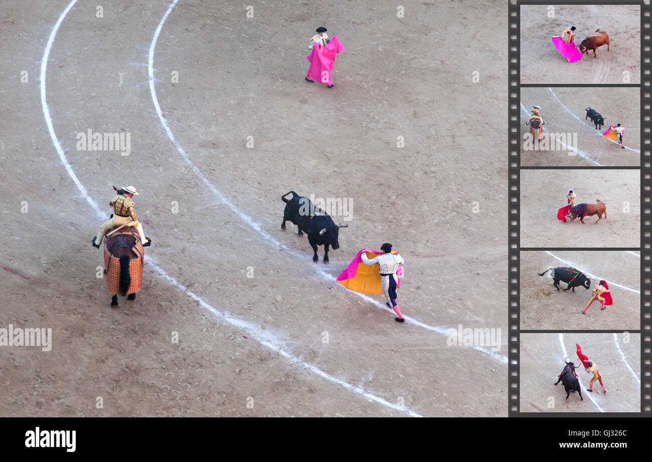 Bullfight - the one of the most controversial events in the world Stock ...