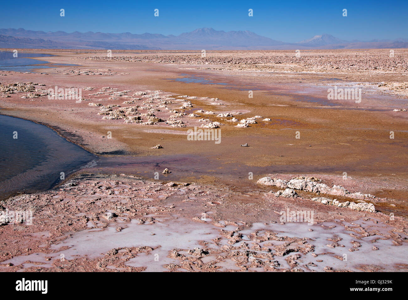 Salar de Atacama, Chile Stock Photo - Alamy