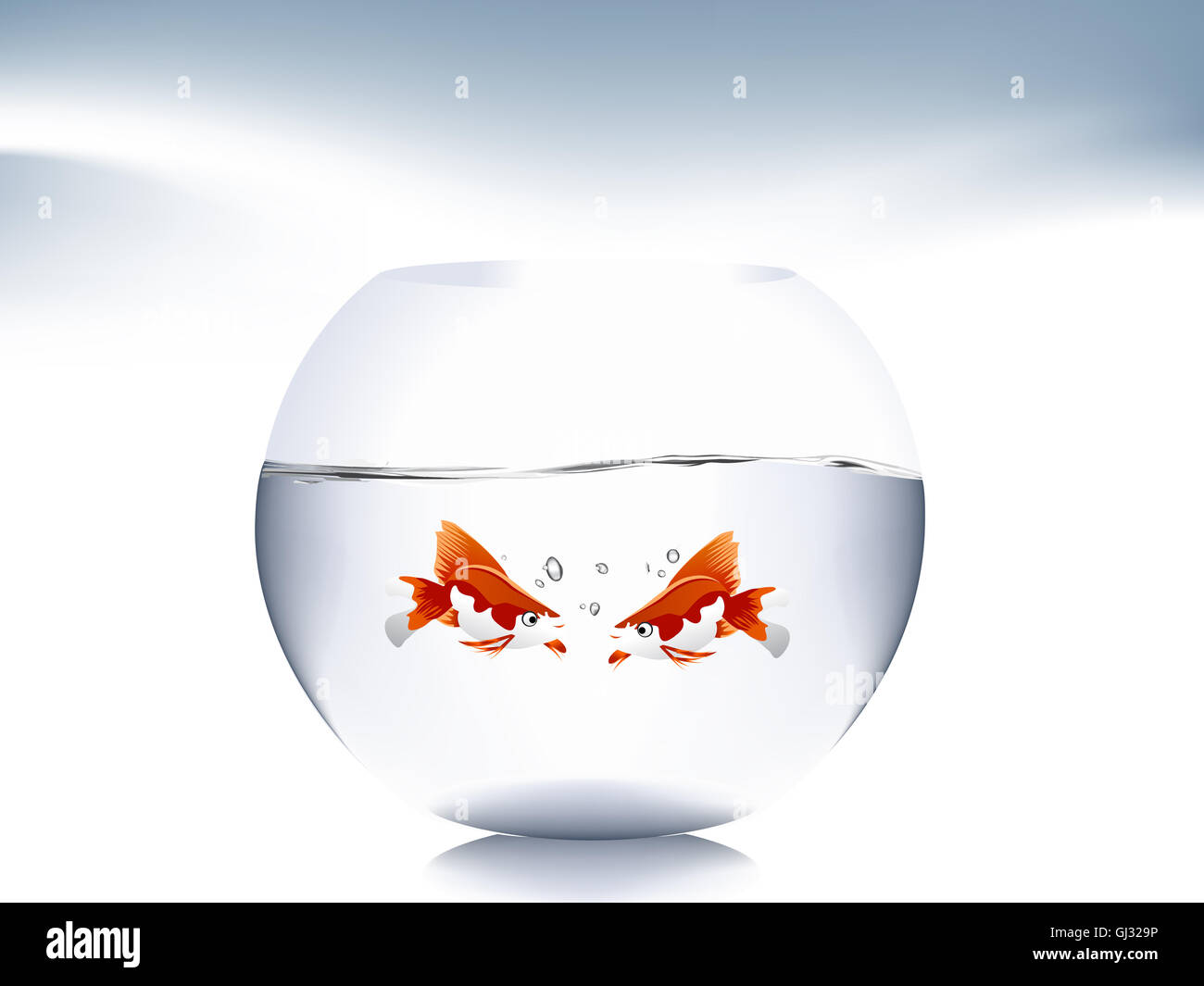 Two goldfish bowl white hi-res stock photography and images - Alamy