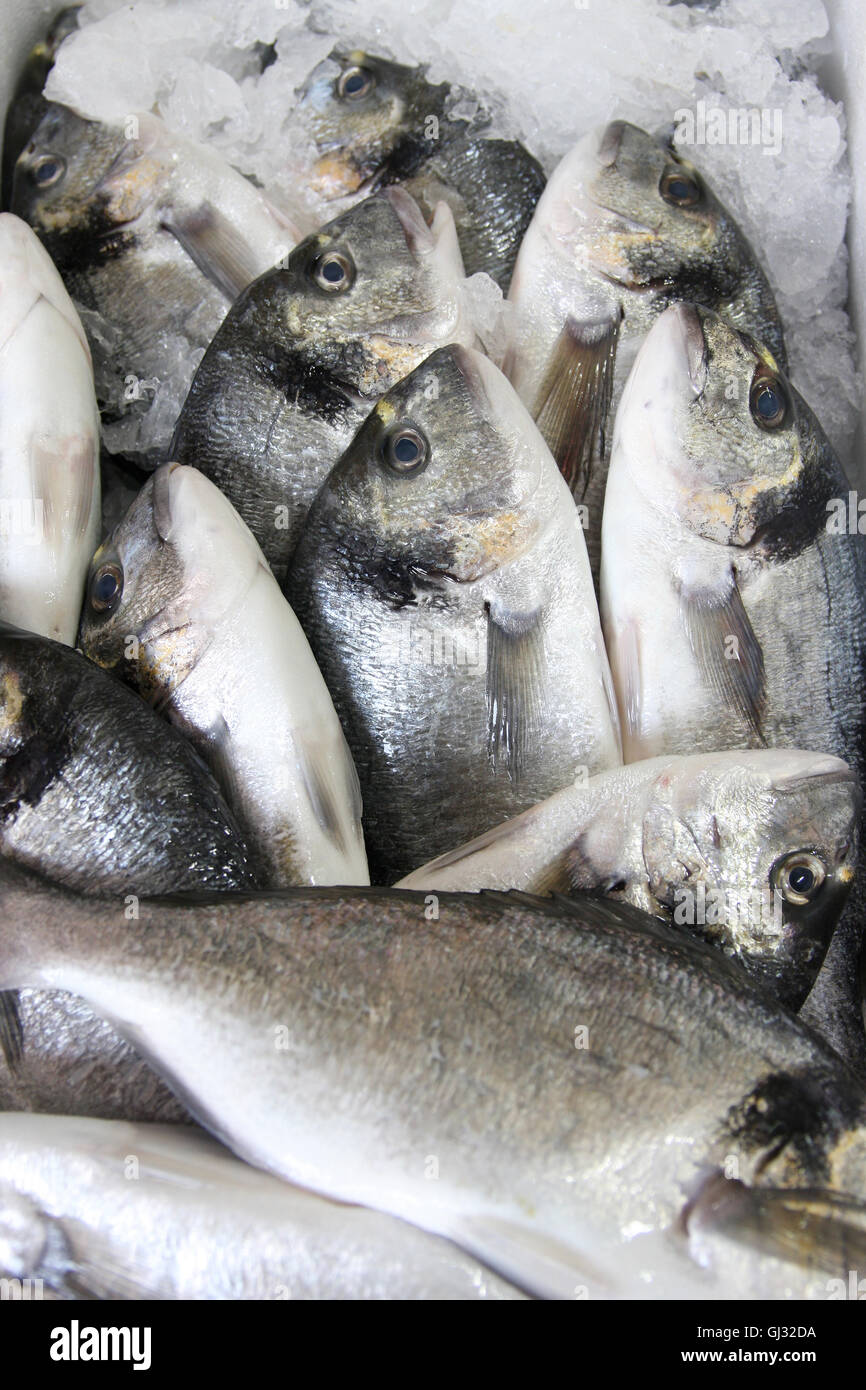 Fresh fish on ice Stock Photo - Alamy