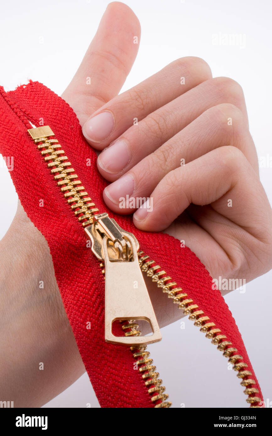 Hand holding color zipper on a white background Stock Photo - Alamy