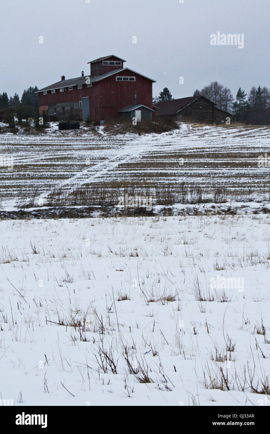 Spring in Finland Stock Photo - Alamy