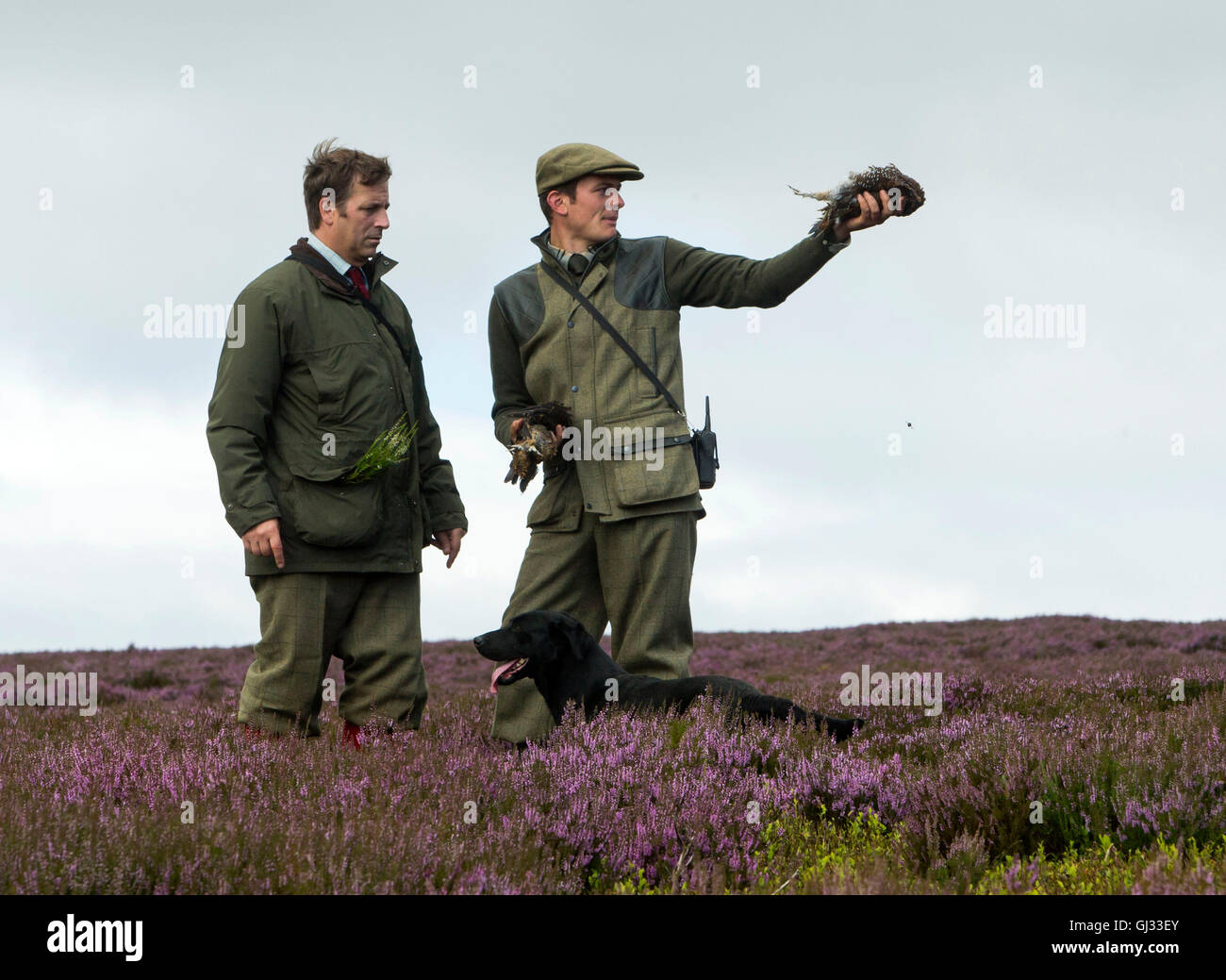 The start of the grouse shooting season gets underway on Spaunton Moor ...