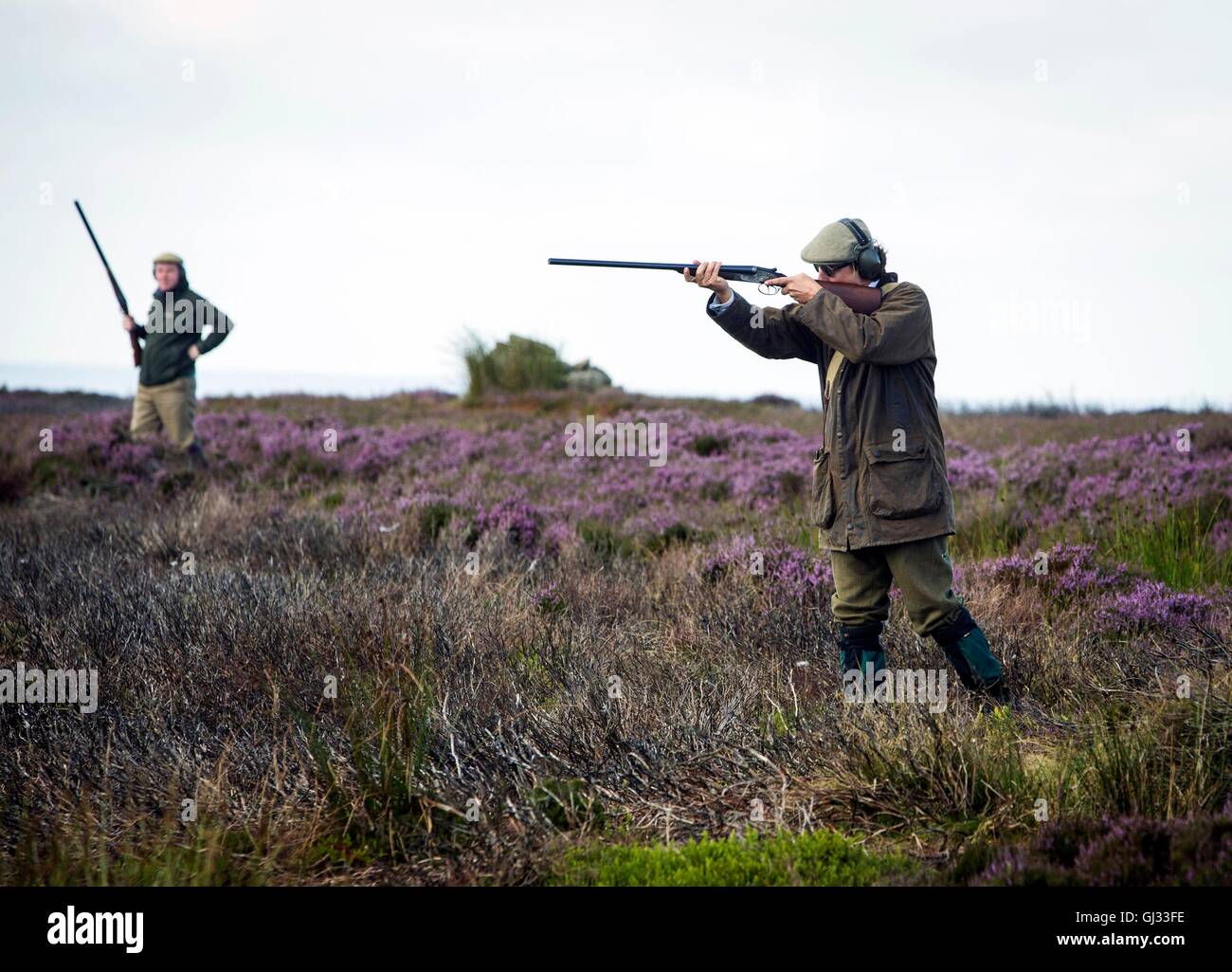 The start of the grouse shooting season gets underway on Spaunton Moor ...