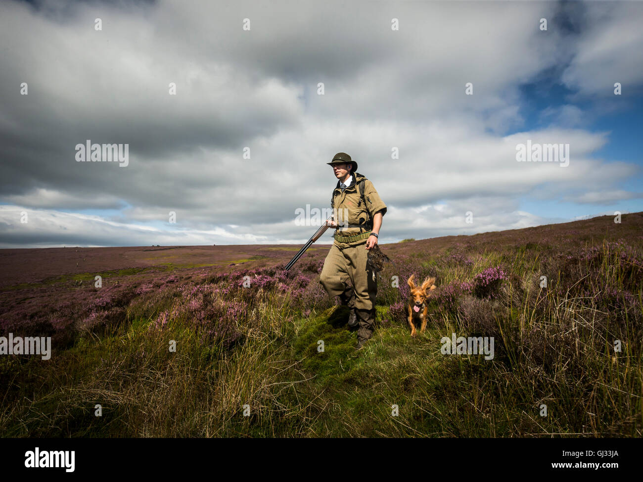 The start of the grouse shooting season gets underway on Spaunton Moor ...