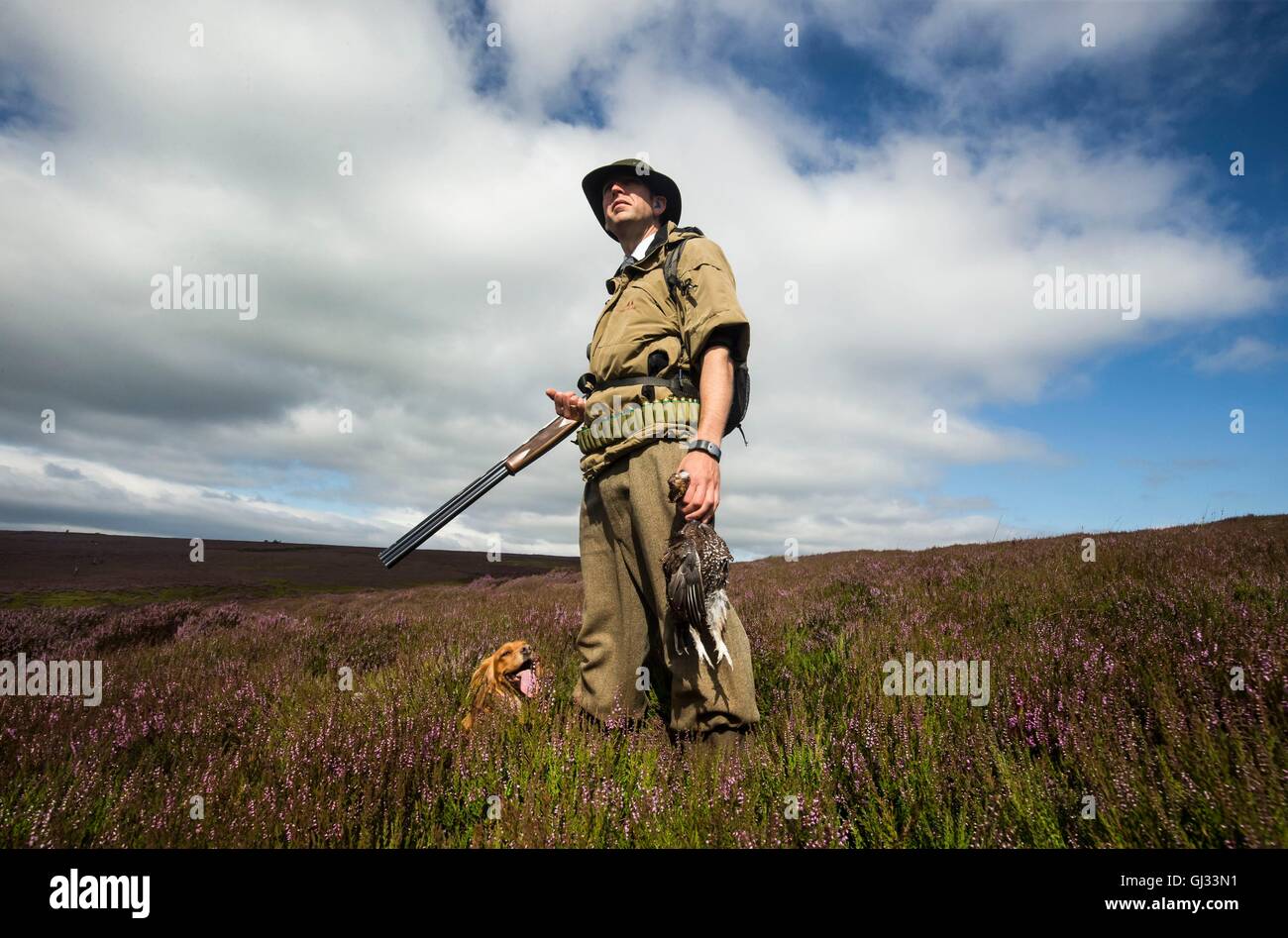 The start of the grouse shooting season gets underway on Spaunton Moor ...