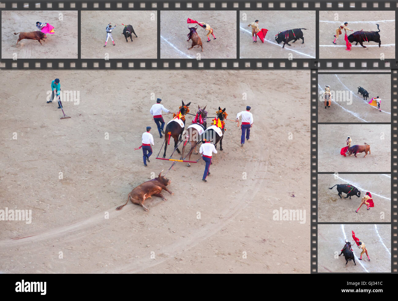 Bullfight - the one of the most controversial events in the world Stock ...