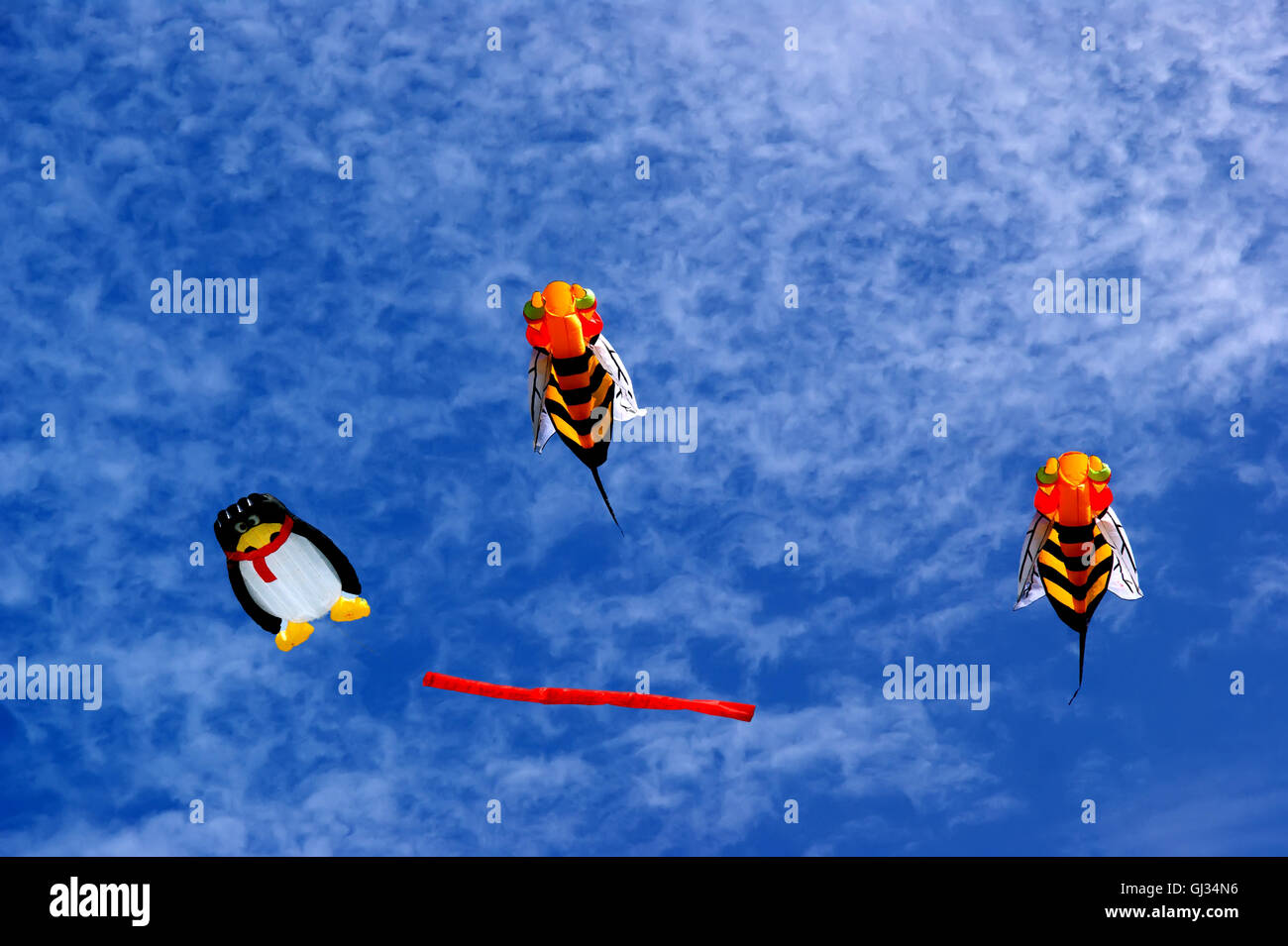 Kite - bees and penguins Stock Photo - Alamy