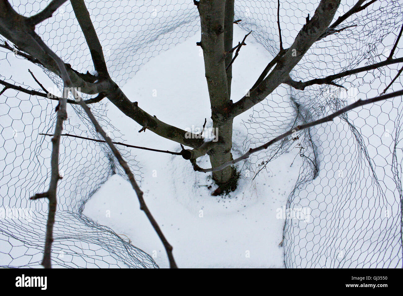 Spring in Finland Stock Photo - Alamy