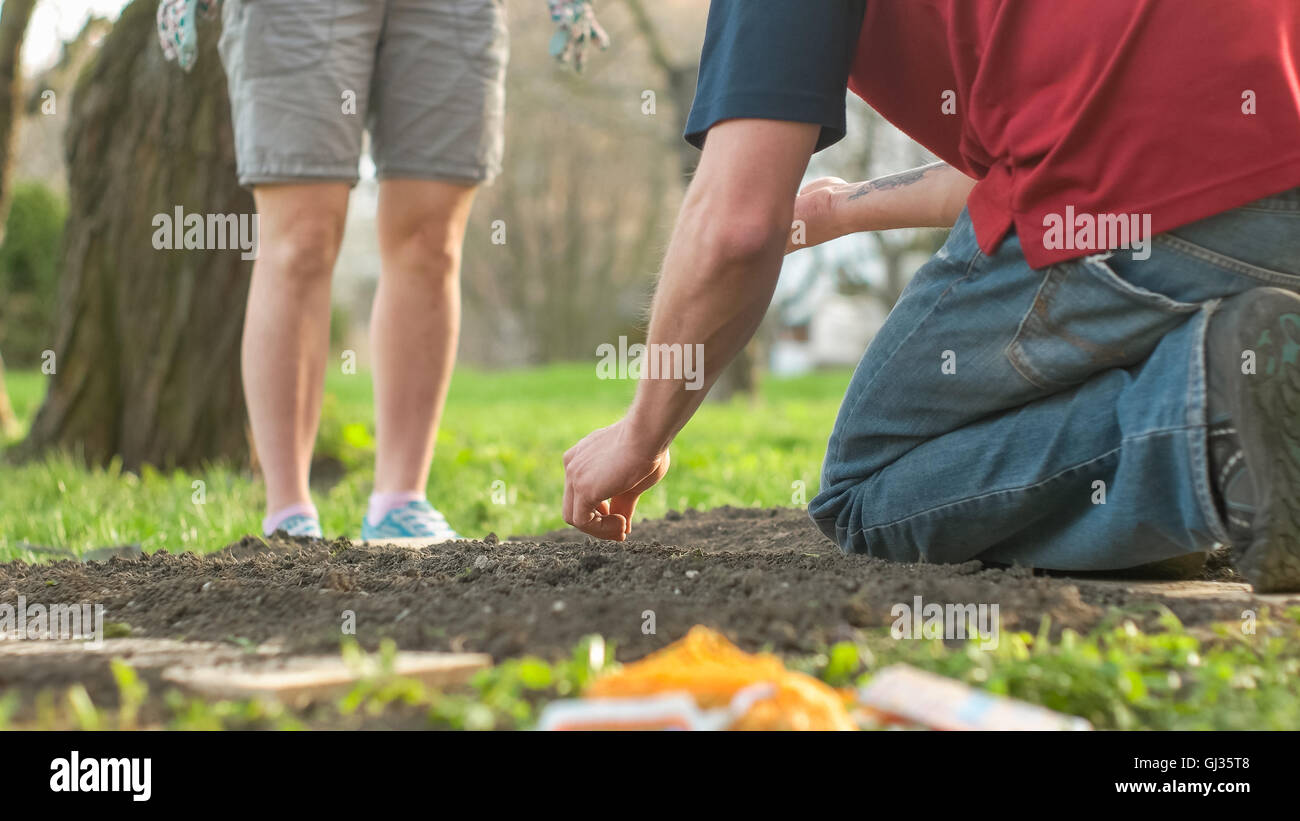 Man placing seeds into the home garden Stock Photo - Alamy
