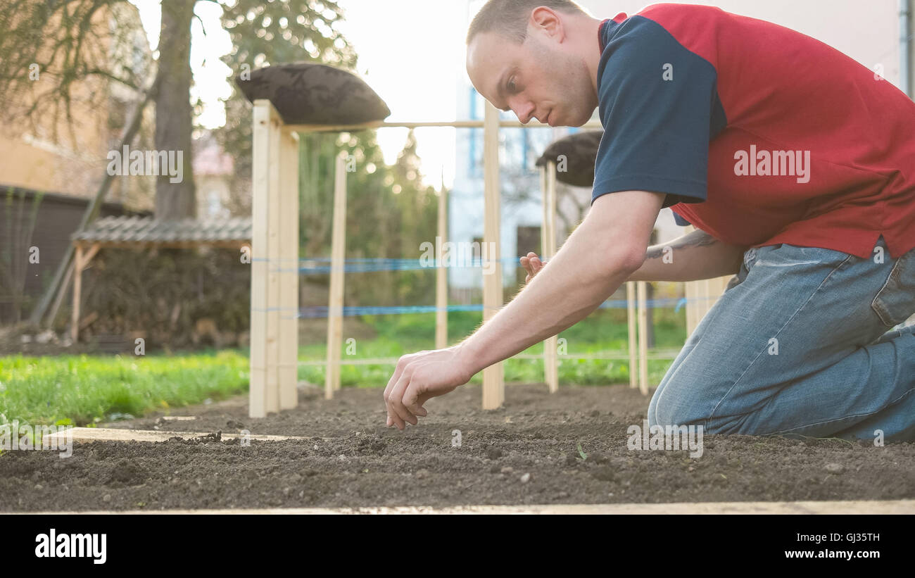 A man planting seeds by hand to prepared rows Stock Photo - Alamy