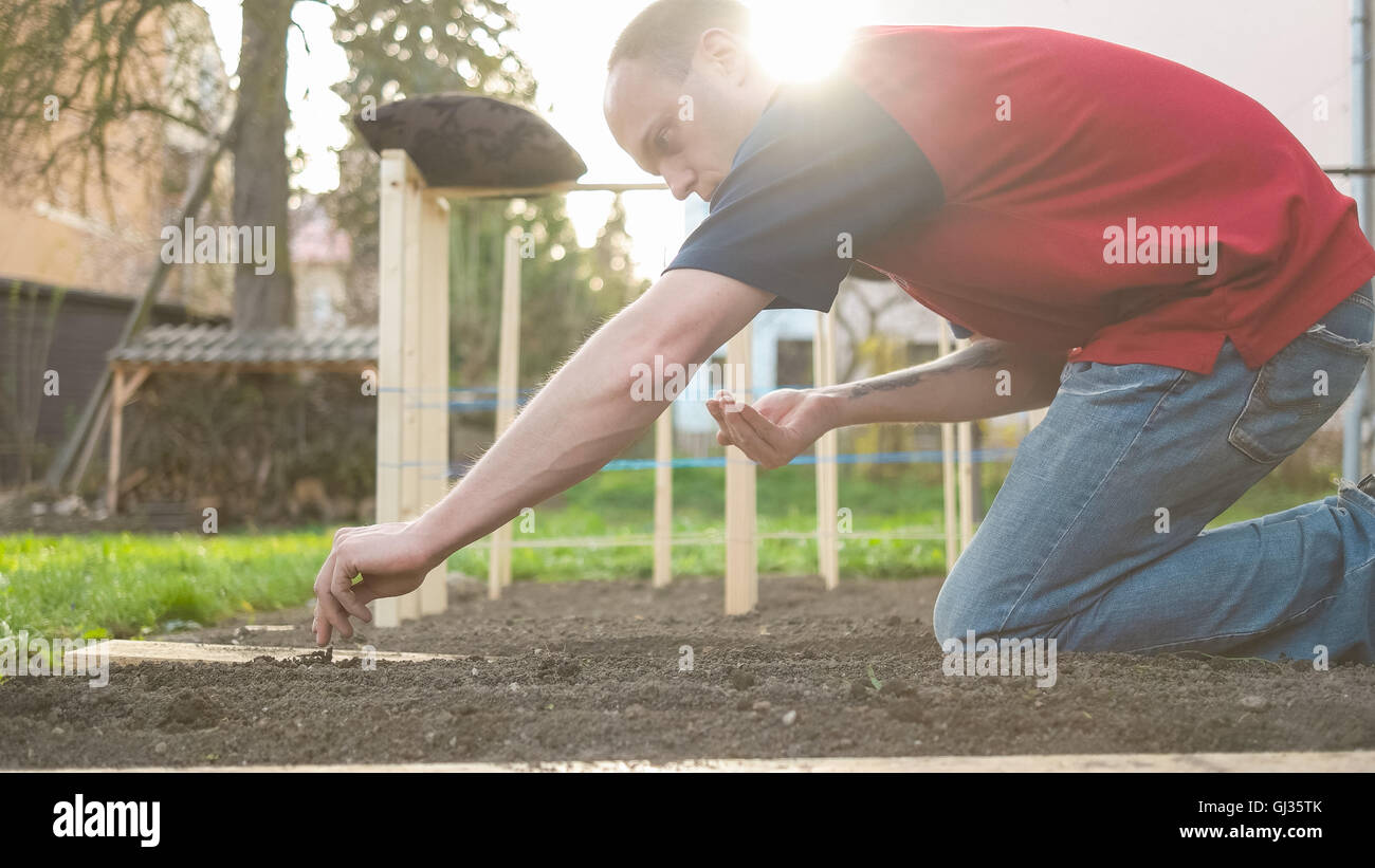 A man planting seeds by hand to prepared rows Stock Photo - Alamy
