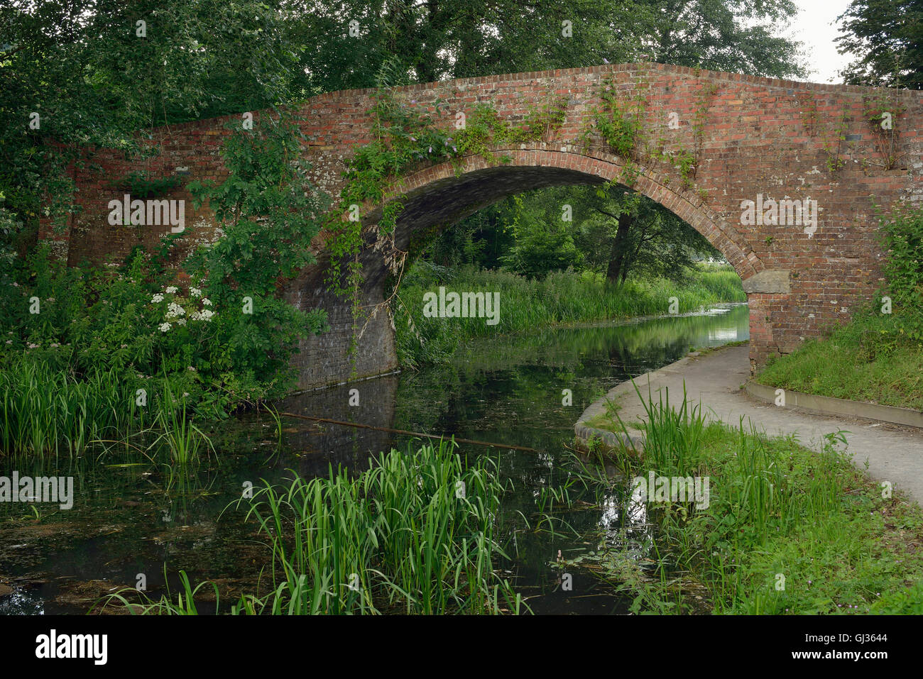 Bagpath Bridge over the Thames & Severn Canal Thrupp, Stroud ...