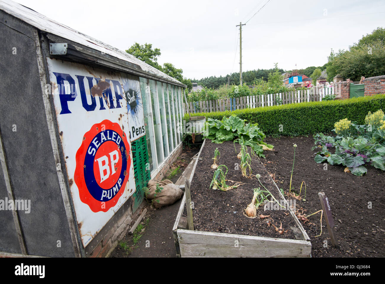 Shed in the garden of a cottage at the Pit Village at Beamish Open Air ...