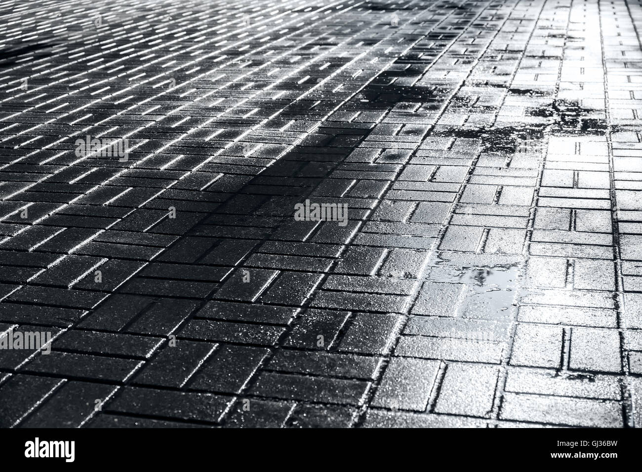 shining wet cobblestone pavement abstract urban road background Stock ...