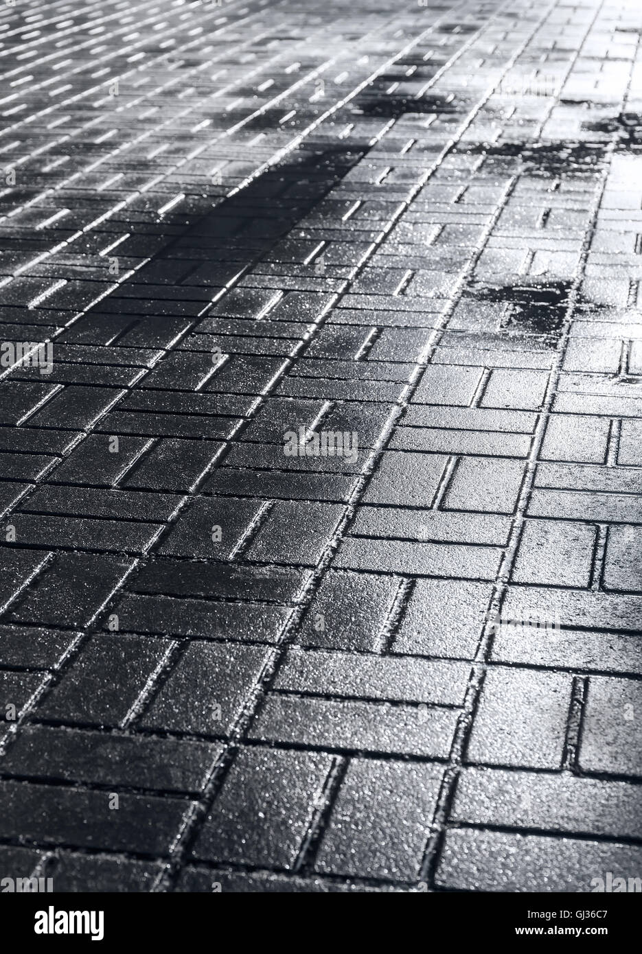 wet shining cobblestone pavement urban road background Stock Photo - Alamy