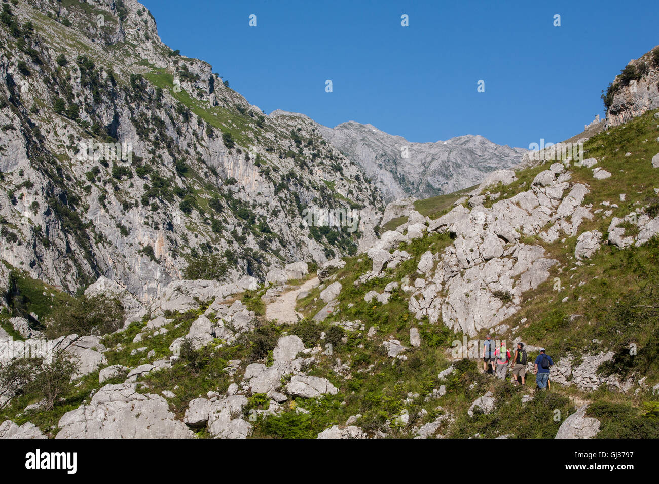 Hiking Cares Gorge in Picos de Europa,Asturias,Spain,Europe Stock Photo ...