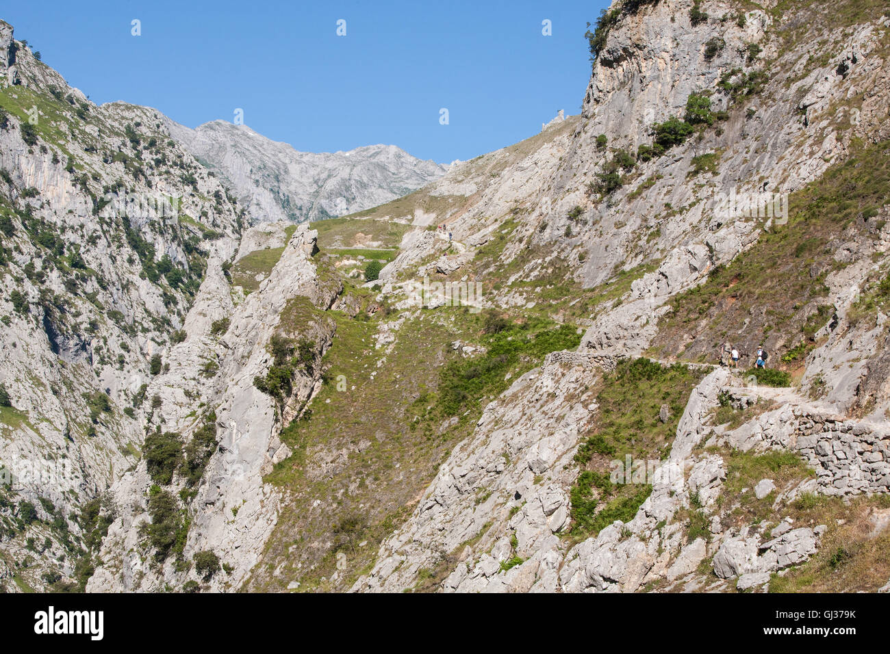 Hiking Cares Gorge in Picos de Europa,Asturias,Spain,Europe Stock Photo ...