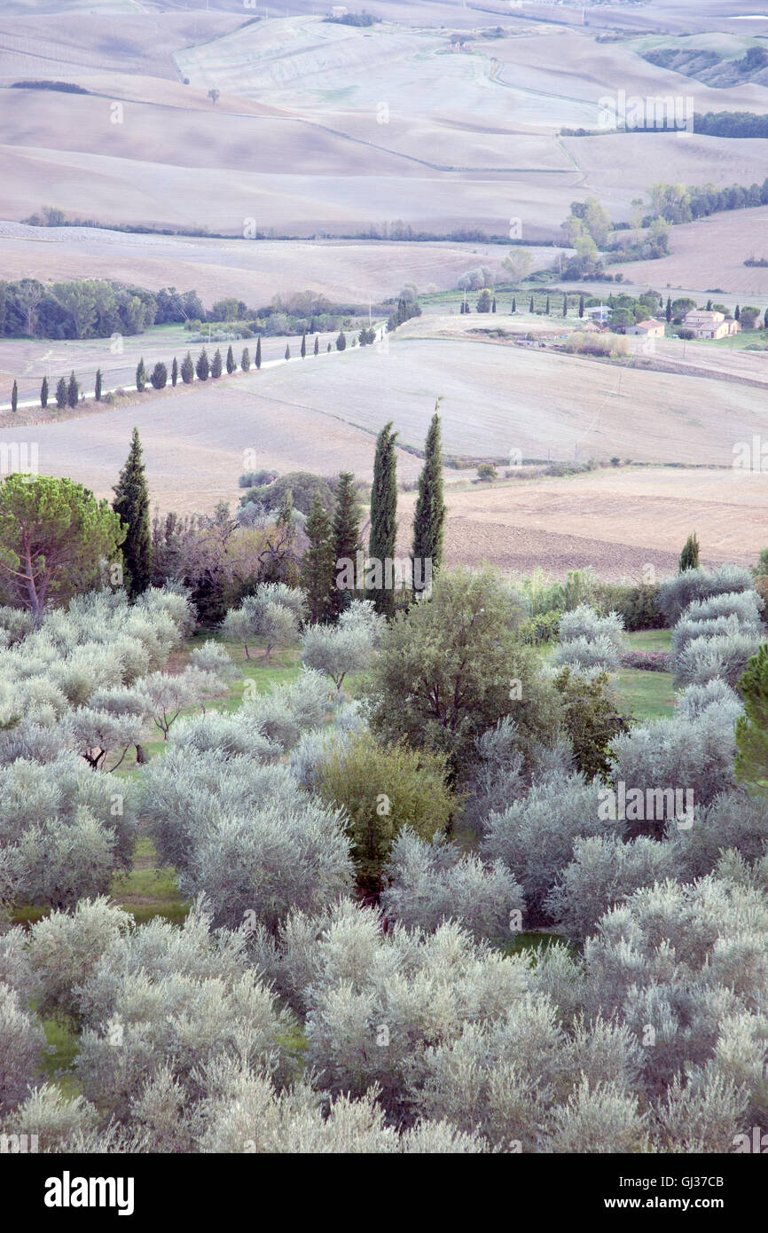 Landscape from Pienza Village, Tuscany; Italy Stock Photo - Alamy