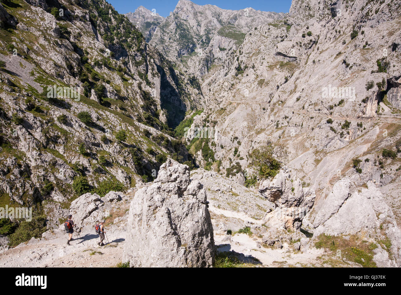Hiking Cares Gorge in Picos de Europa,Asturias,Spain,Europe Stock Photo ...