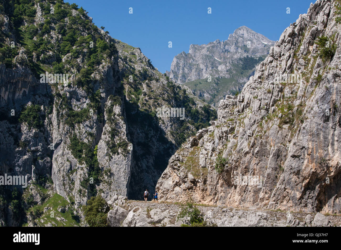 Hiking Cares Gorge in Picos de Europa,Asturias,Spain,Europe Stock Photo ...